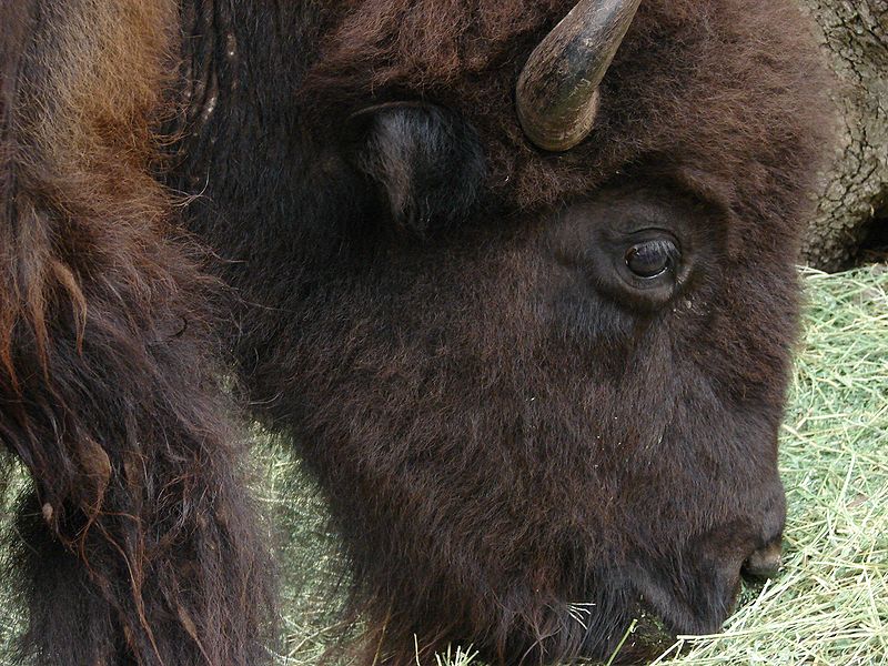 The Great Lakes, part 2 @ God's Geography